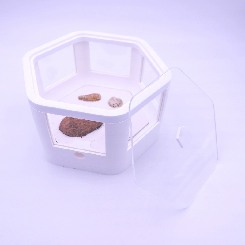 Alveo observa V2 : module d'observation pour fourmis - ADC | FourmiCurieuse